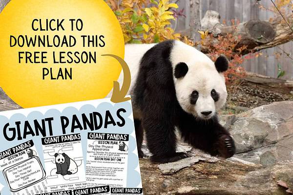 Free Lesson Plans & Materials for Educators - A-Z Animals