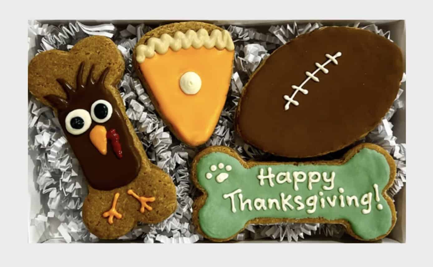 7 Tasty Turkey Day Dog Treats We Are Grateful For