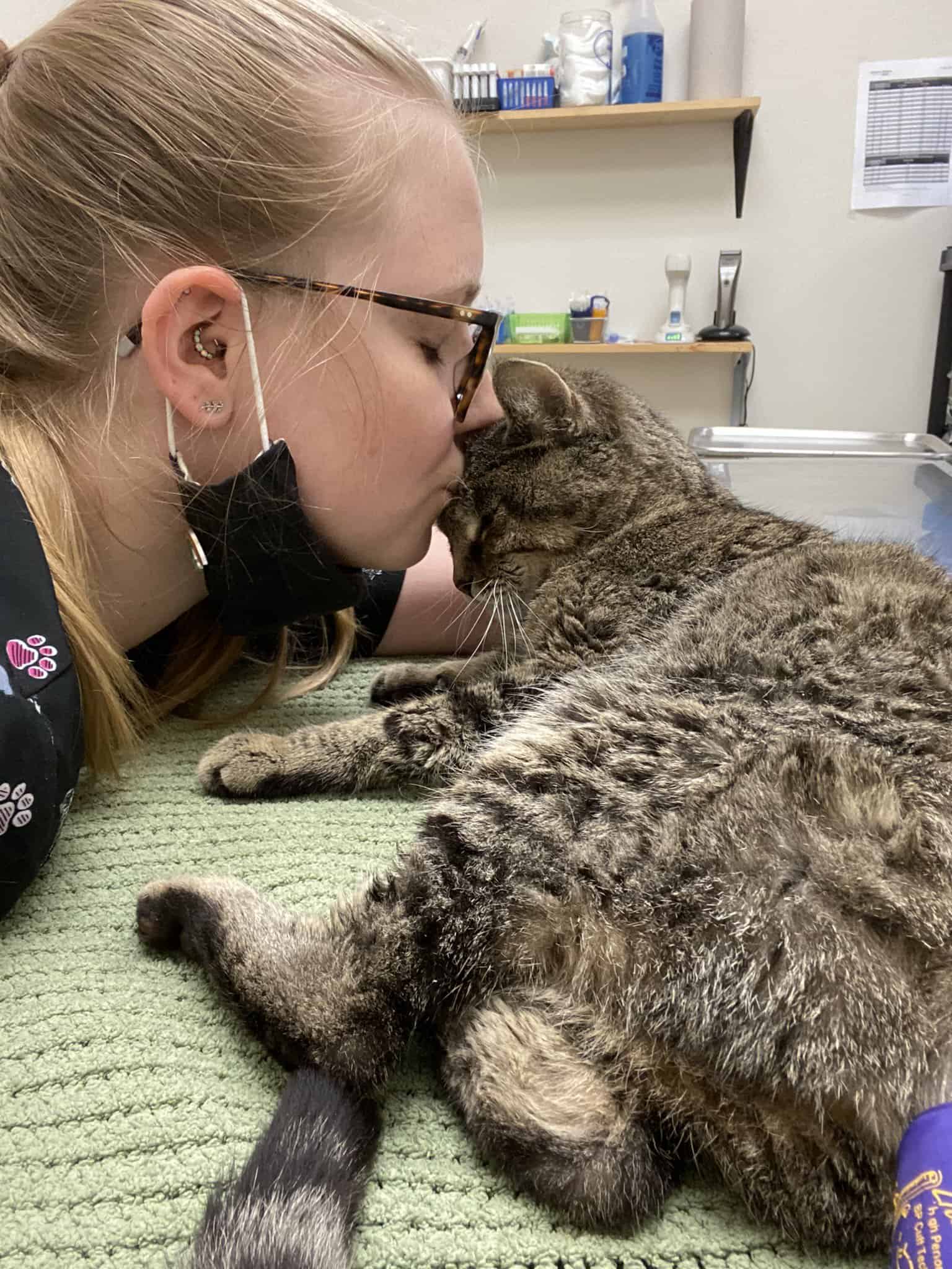 How "Not One More Vet" is Revolutionizing Veterinary Well-Being - A-Z ...