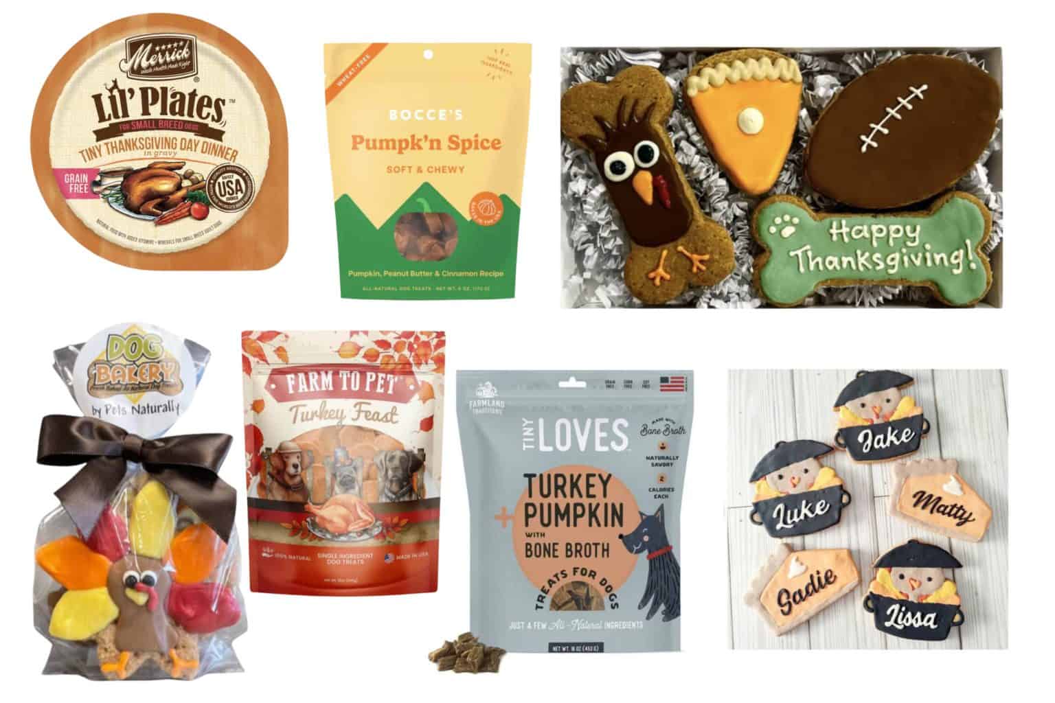 100 Amazing Chocolate-Inspired Dog Names - A-Z Animals