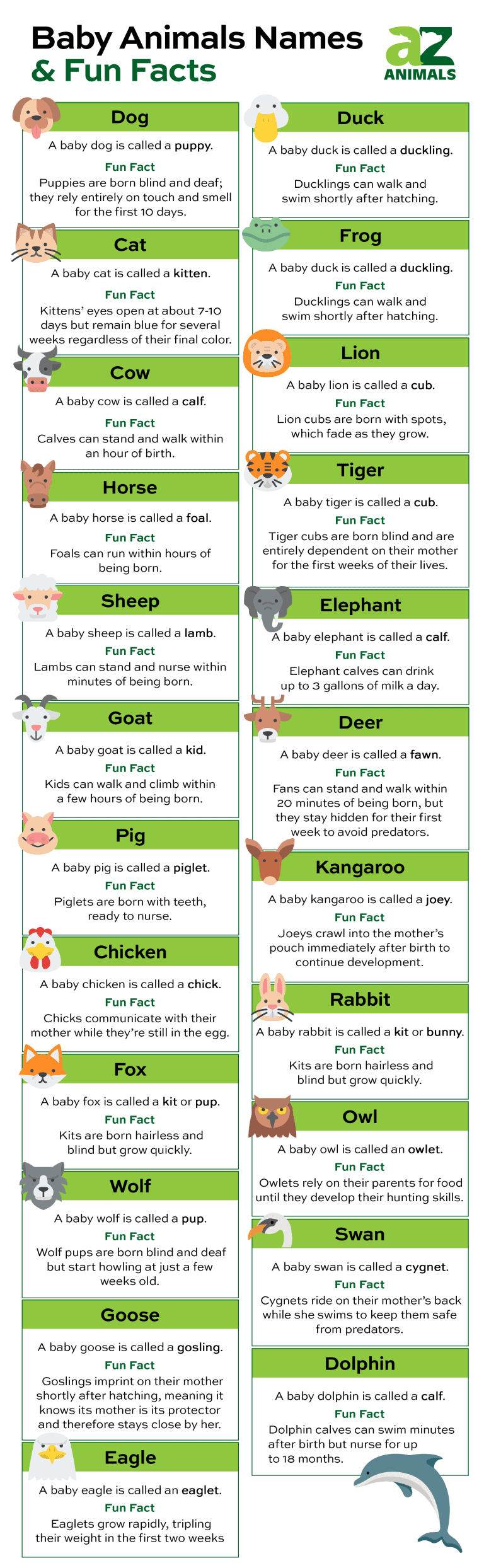 Baby Animals 101: Fun Names and Surprising Facts - A-Z Animals