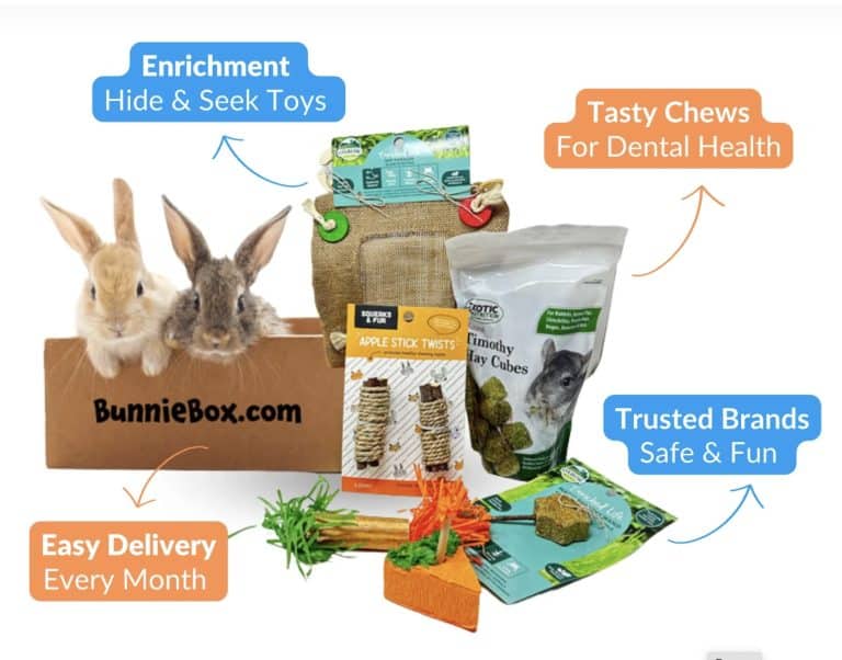 The Joy of Pet Subscription Boxes: 7 Services that Pamper Your Furry ...