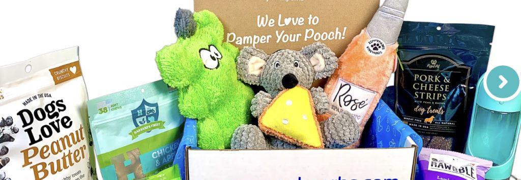 The Joy of Pet Subscription Boxes: 7 Services that Pamper Your Furry ...