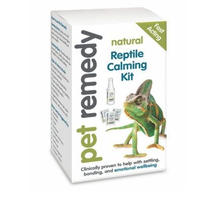 Stress Relief for Exotic Pets: From Birds to Reptiles
