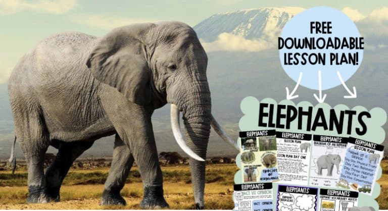 Everything Elephants: A Free Five-Day Lesson Plan for Kids - A-Z Animals