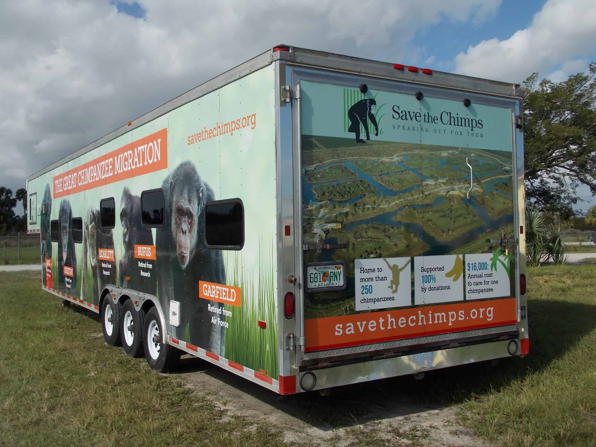 Five Islands, 150 Acres, and 200+ Survivors: A Second Chance for ...