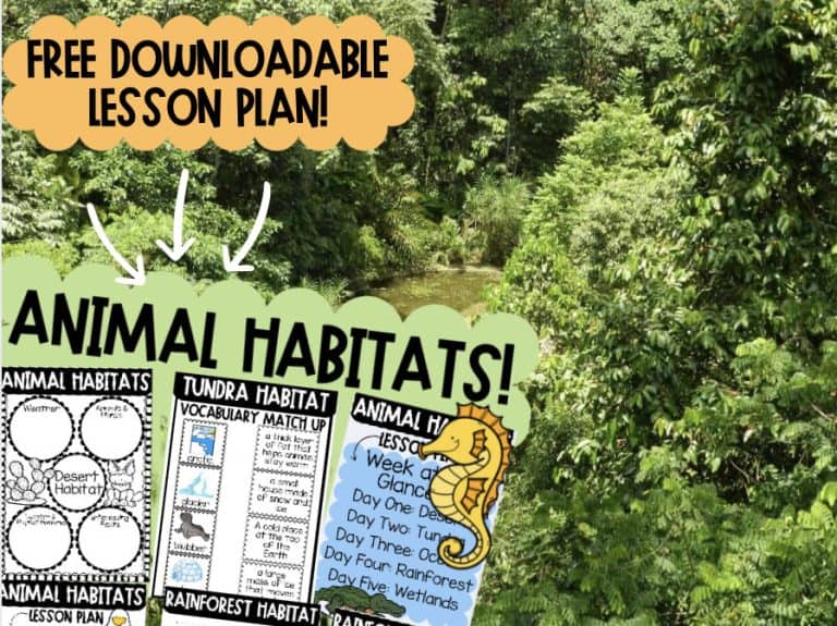 Exploring Animal Habitats: A Free 5-Day Unit Plan - A-Z Animals