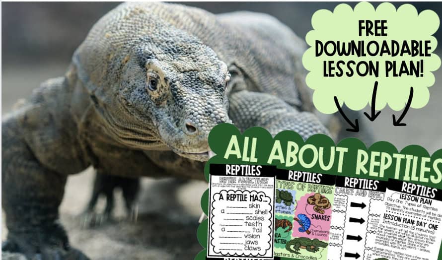 All About Reptiles: A 5-Day Unit Plan for Kids - A-Z Animals