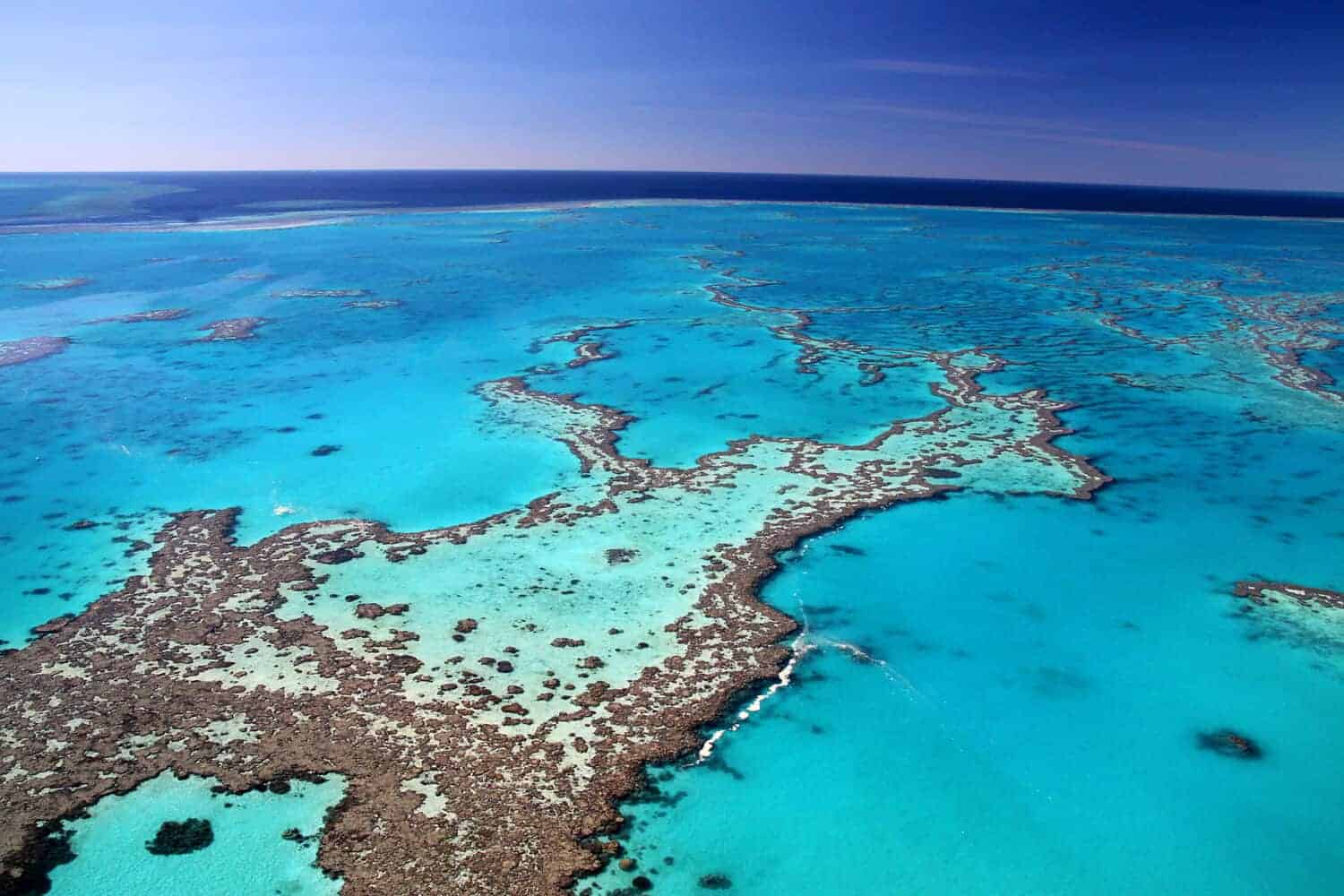 Five Facts About the Ocean That Will Blow Your Mind