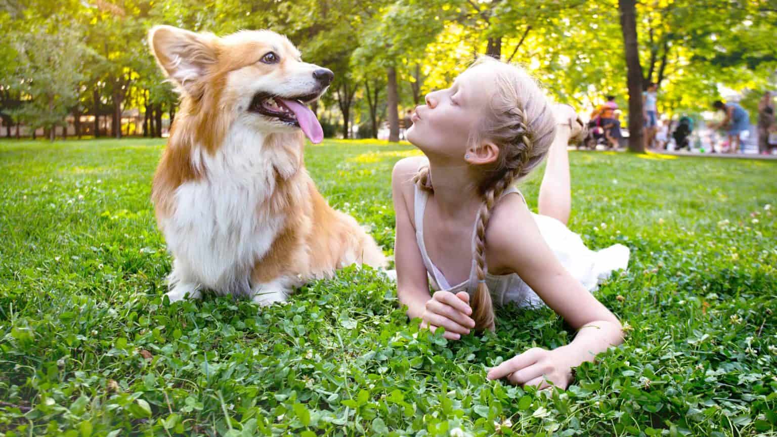 How a 30-Minute Therapy Dog Visit Can Transform a Child’s Hospital Stay ...
