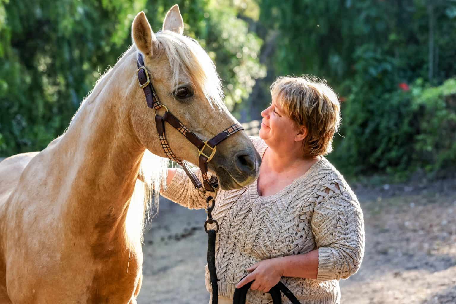 How Training Philosophy Shapes Horses: Western, English, and Natural ...