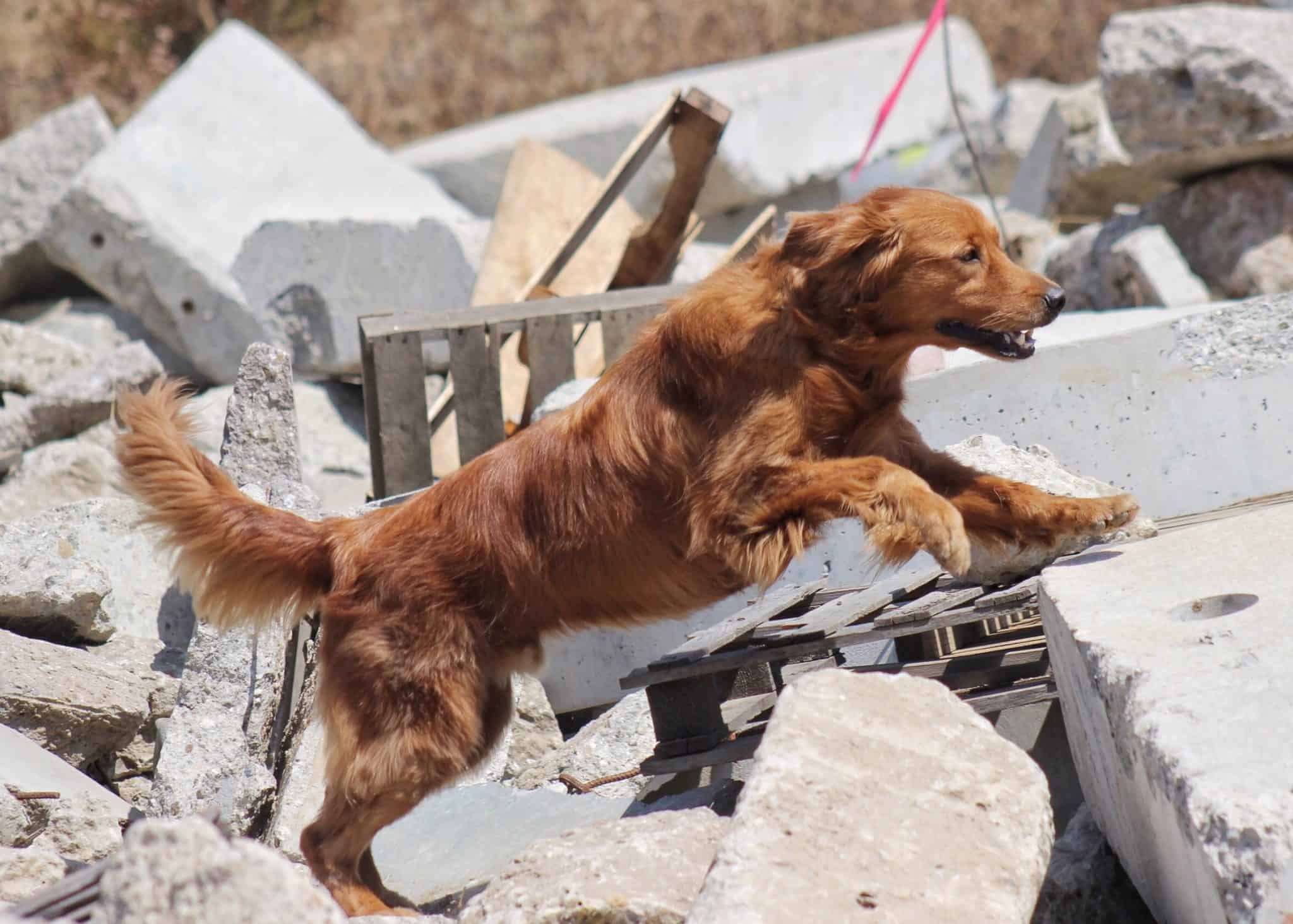 20 Countries That Experience The Most Earthquakes in the World - A-Z ...