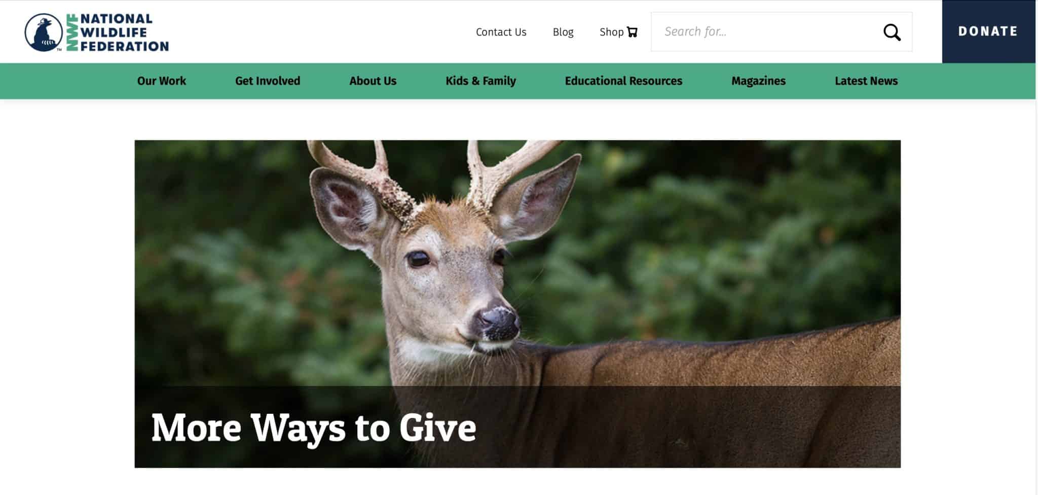 14 A-Z Animals-approved Conservation Organizations to Get Involved With