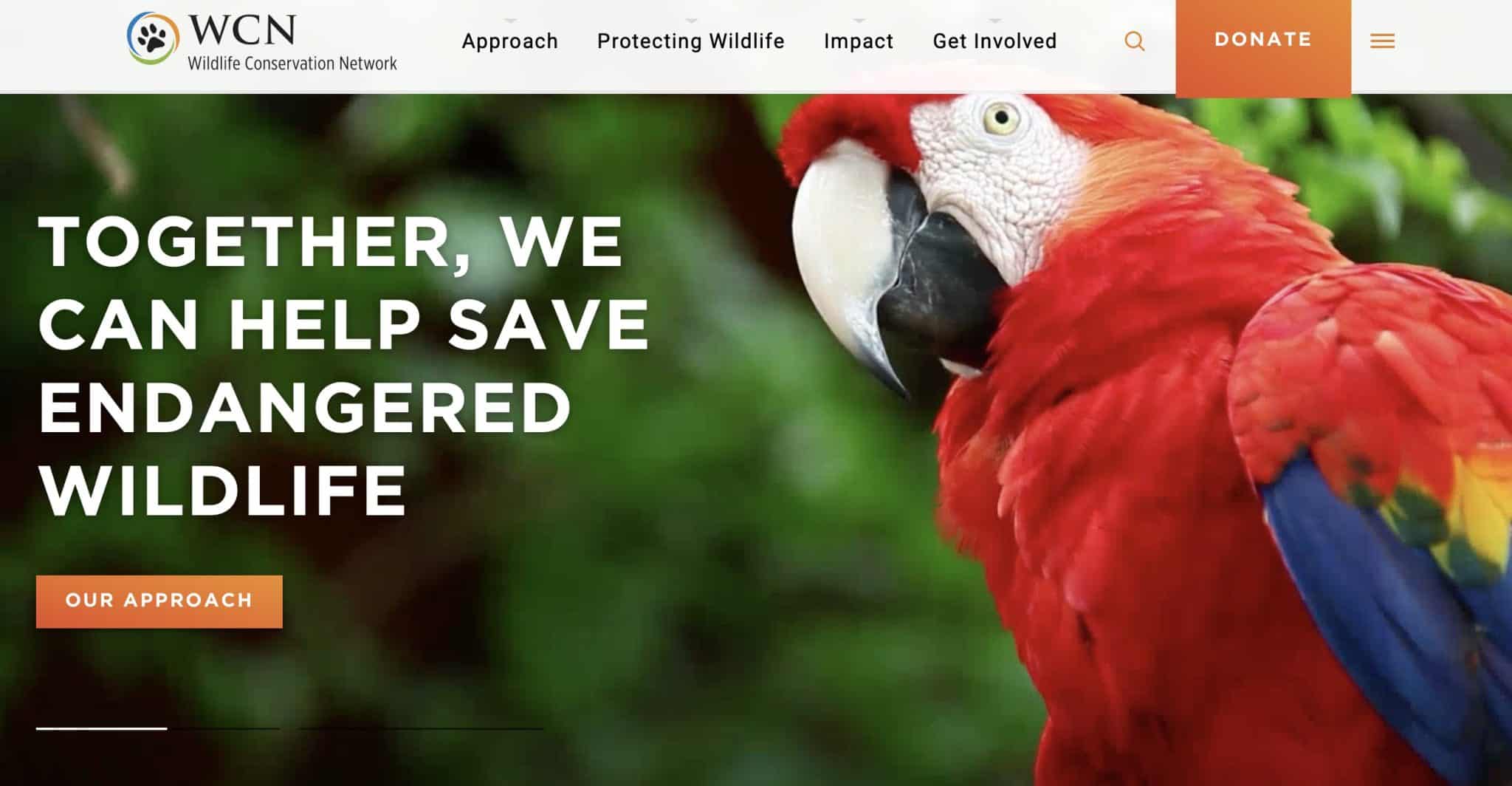 14 A-Z Animals-approved Conservation Organizations to Get Involved With