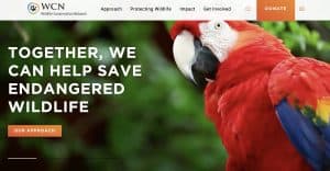14 A-Z Animals-approved Conservation Organizations to Get Involved With