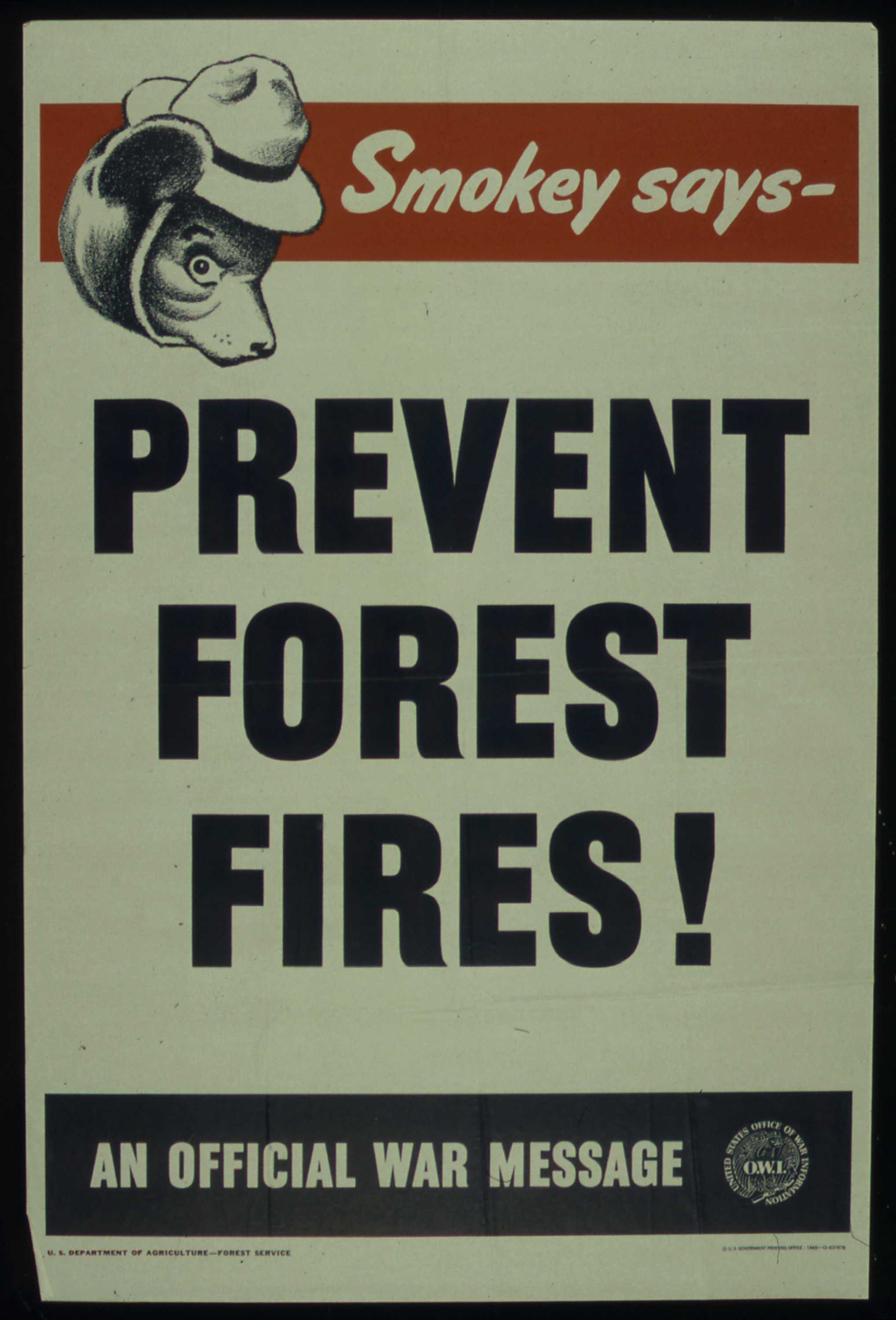 They've Cut Down 200,000 Trees in Five Years to Save the Forest ... and ...