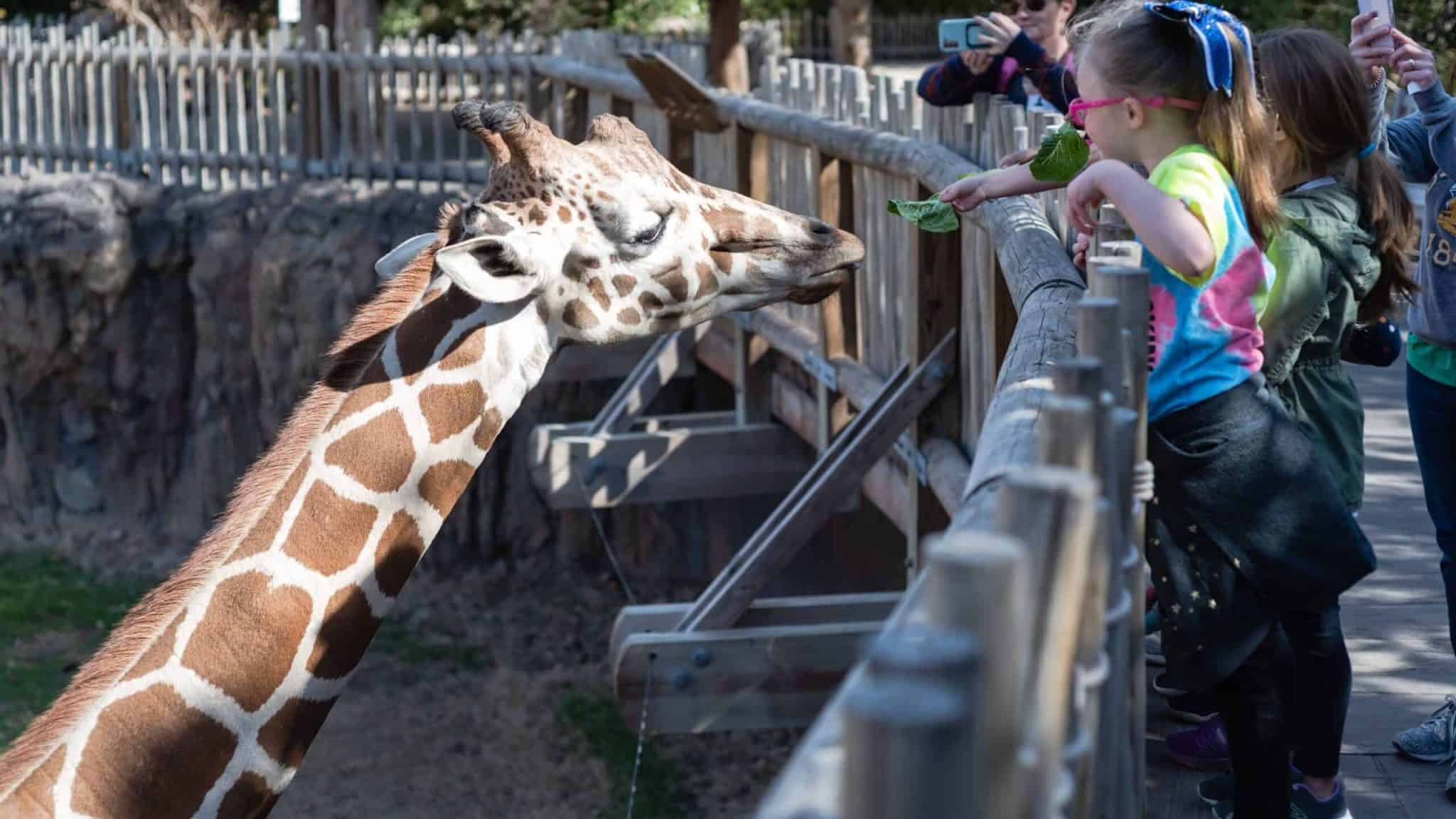 Remembering Extinct Creatures: The Bronx Zoo’s Animal Graveyard - A-Z ...