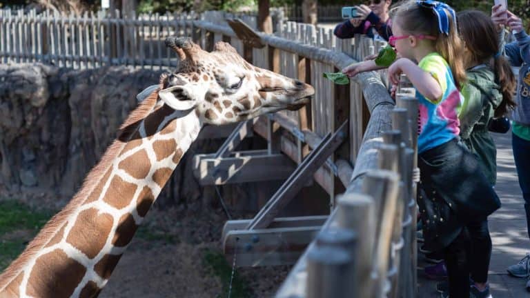 Remembering Extinct Creatures: The Bronx Zoo’s Animal Graveyard - A-Z ...
