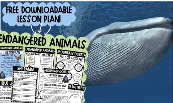 Endangered Animals: A Unit Study for Kids - A-Z Animals