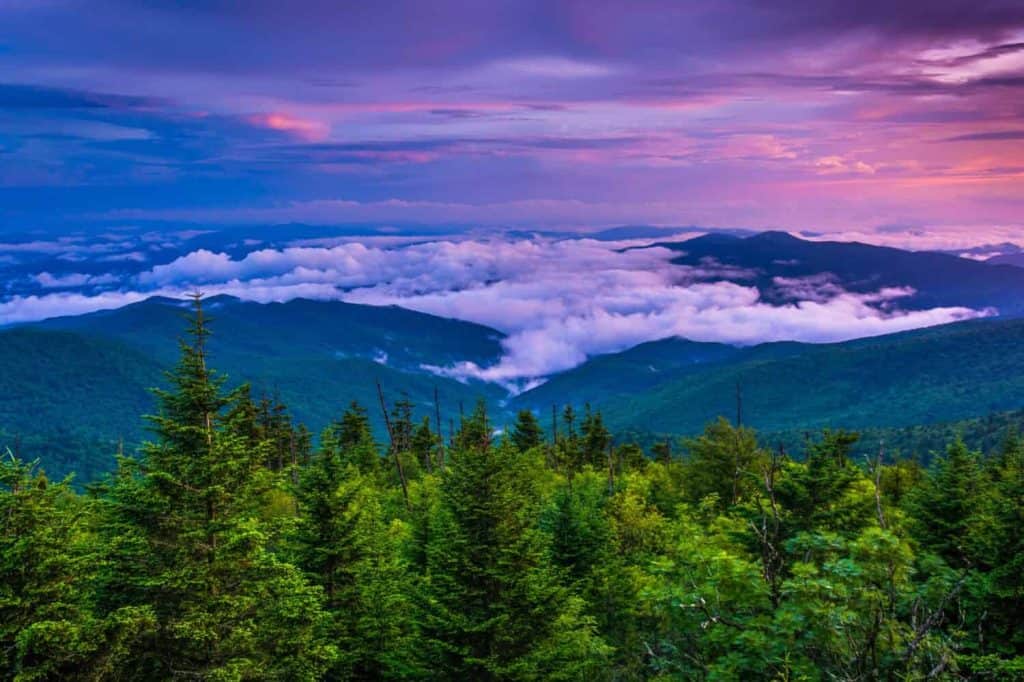 Protecting 30% by 2030: The Sierra Club’s Bold Plan to Save the Wild ...
