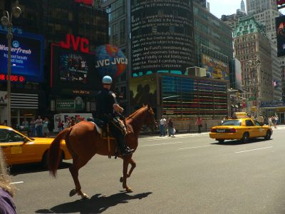 Hooves on Duty: The History and Role of Mounted Police Units - A-Z Animals