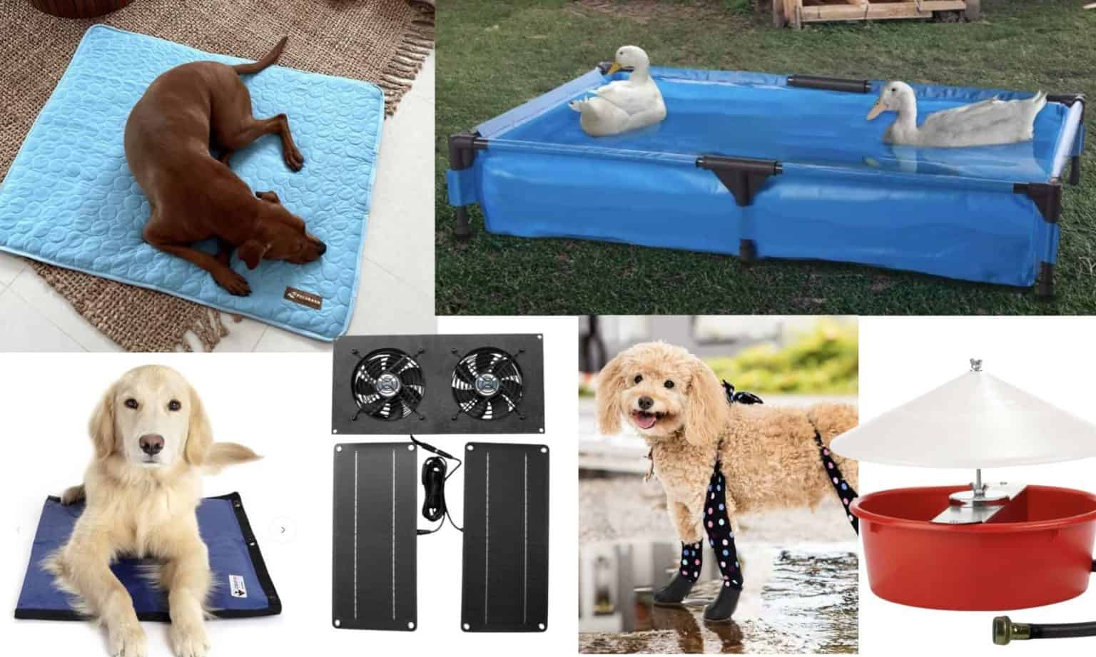 Pet-Safe Weed Killer: The 5 Best Options for Your Yard and Pets - A-Z ...