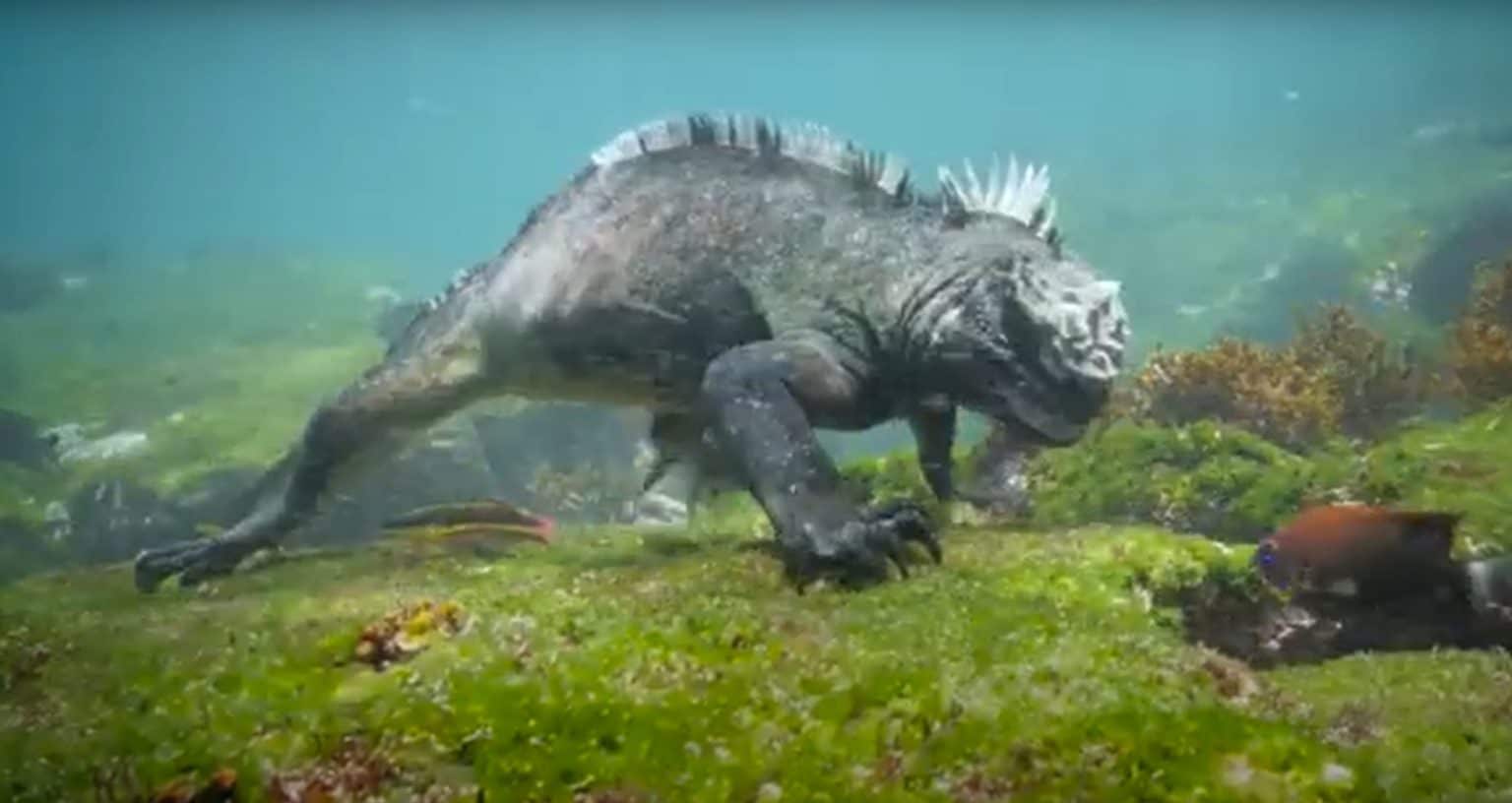 This Godzilla-Like Creature Sneezes Salt - A-Z Animals
