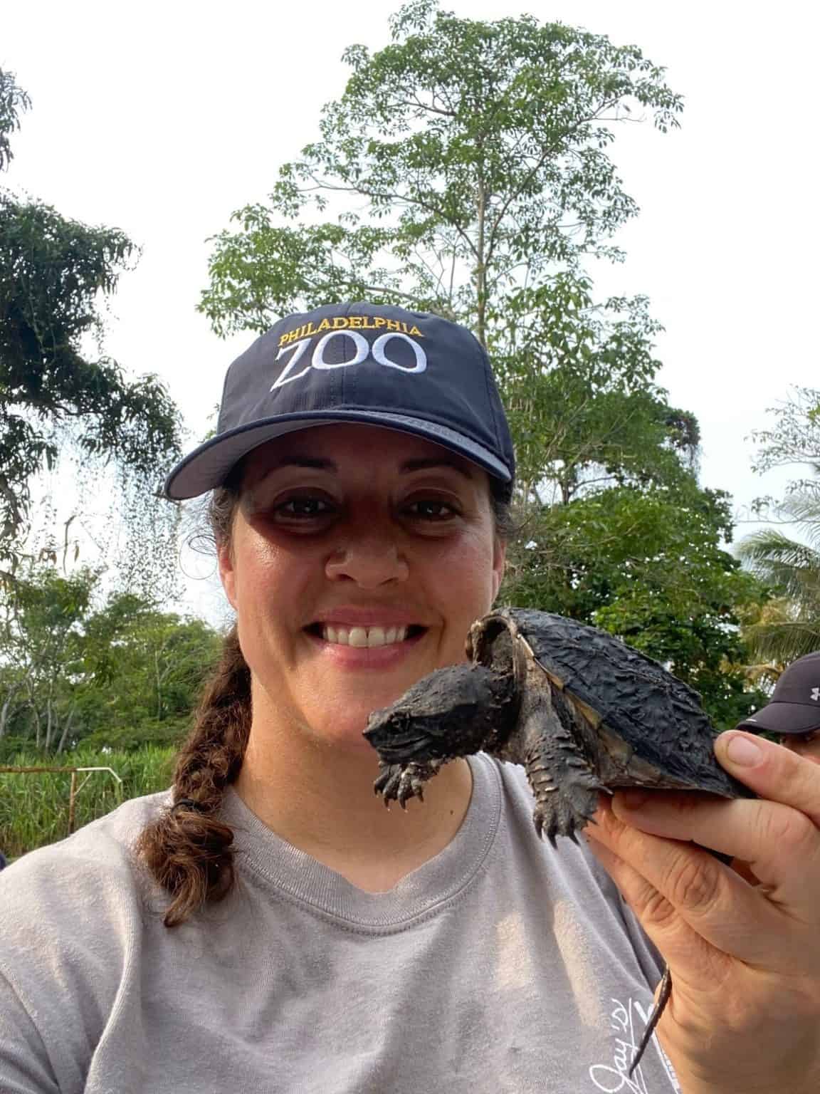 4 New Tortoises Make Their Debut at the Philadelphia Zoo Next Week - A ...