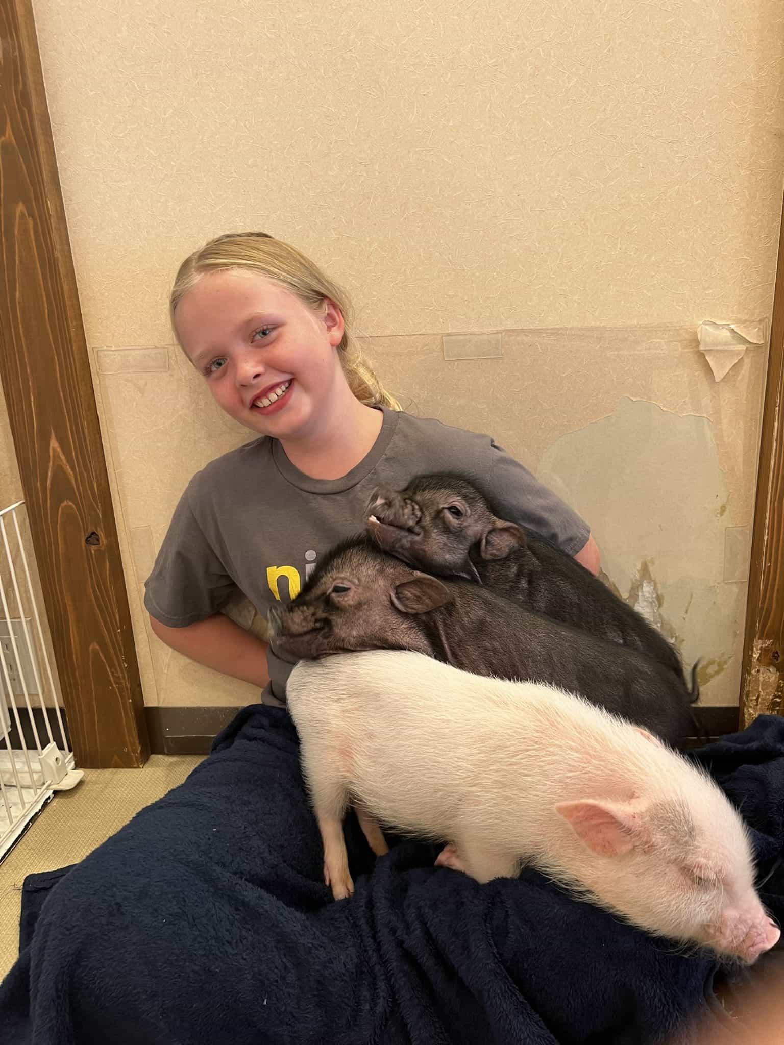 These Animal Cafés Are Perfect for Coffee and Cuddles