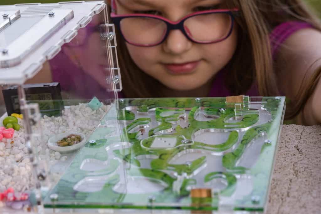 The 19 Best Pets for Small Spaces - A-Z Animals Slideshows