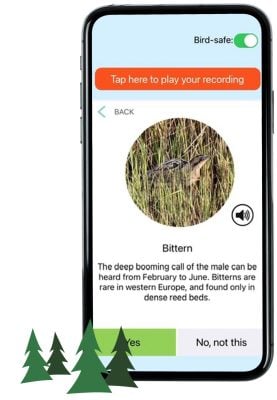 The Best Birding Apps That Help You Identify Every Bird You See - A-Z ...