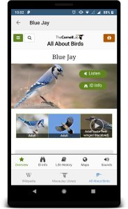 The Best Birding Apps That Help You Identify Every Bird You See - A-Z ...