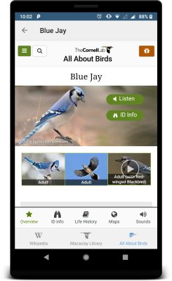 The Best Birding Apps That Help You Identify Every Bird You See - A-Z ...