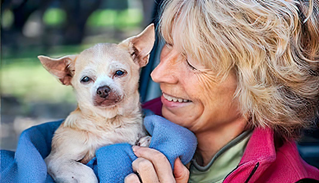 Inside the Rescue Mission That Saved Hundreds from Fur and Urine Farm
