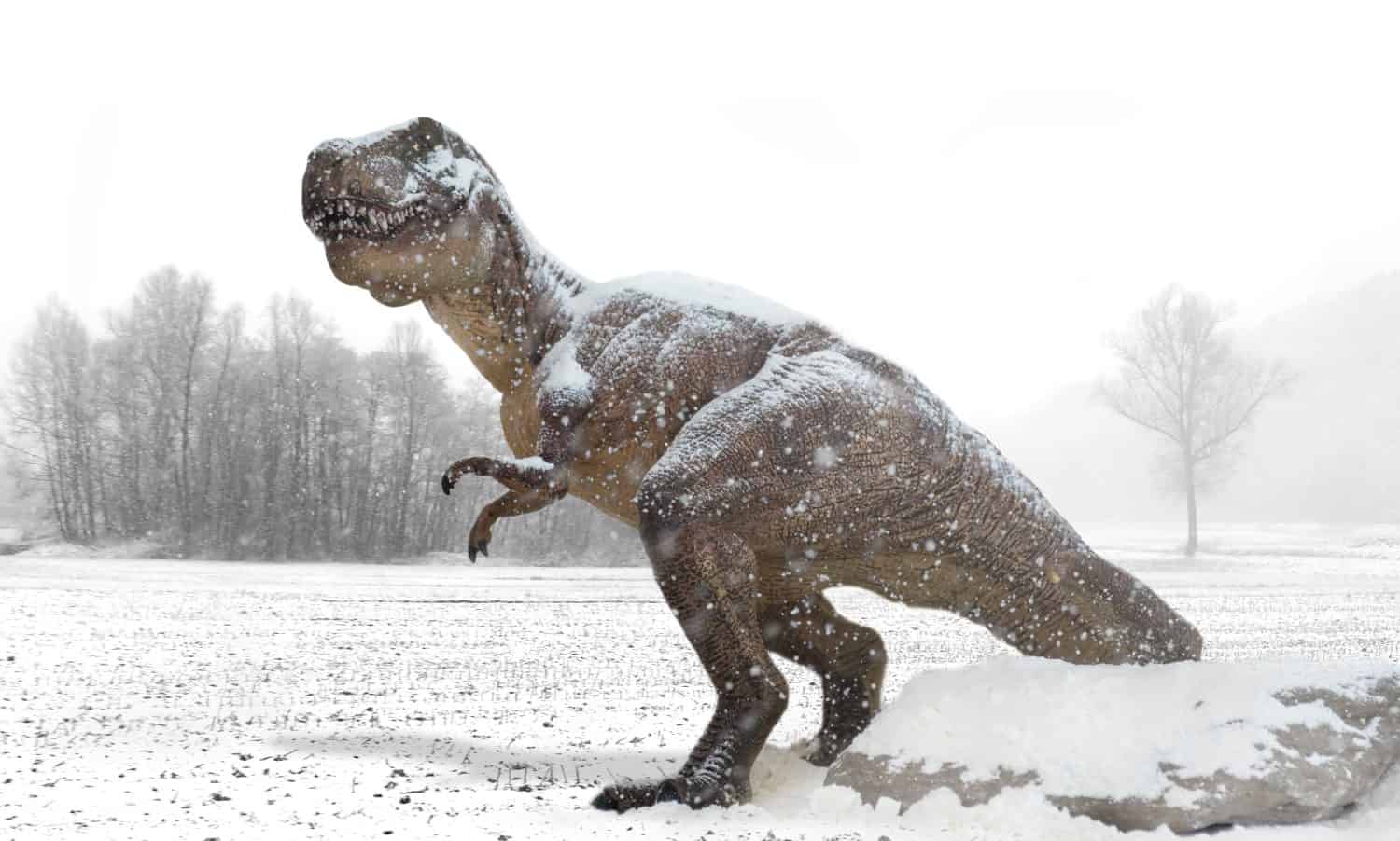 Are We Living Through Earth’s Sixth Mass Extinction Right Now? - A-Z ...