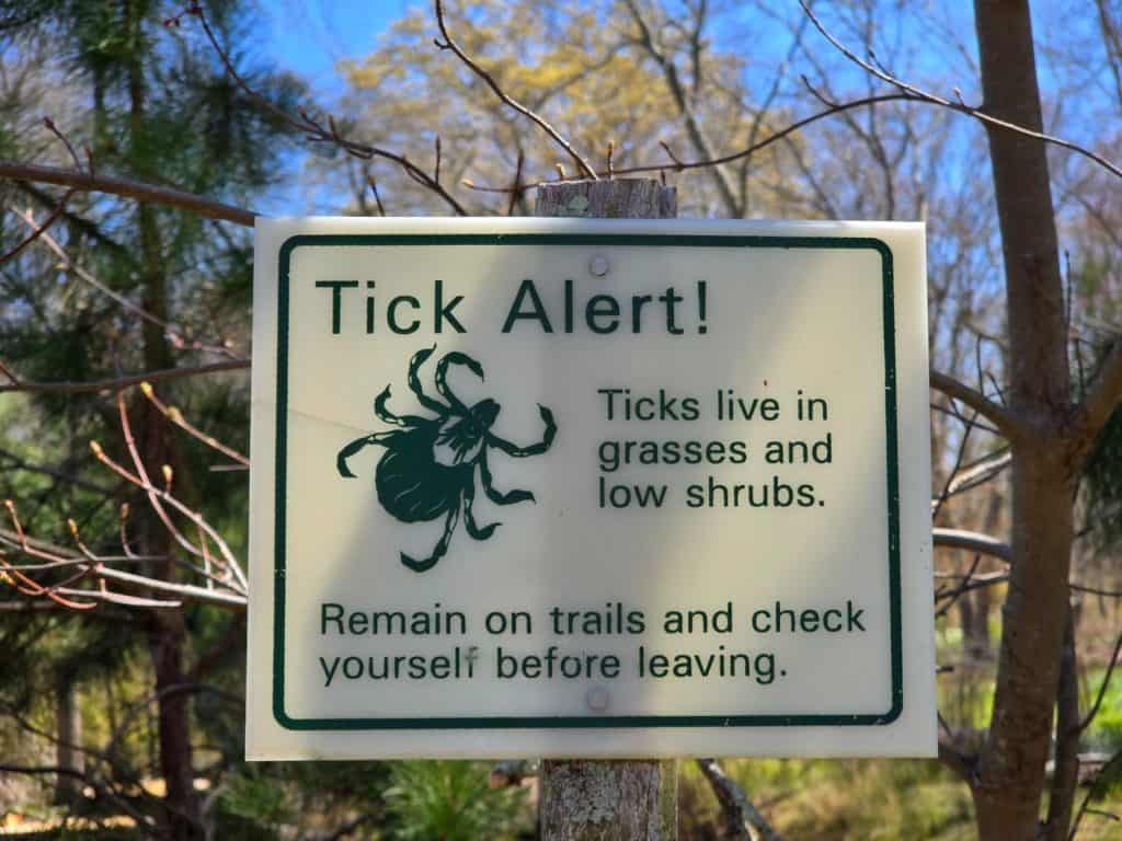 Watch Out for These Two Specific Ticks This Spring and Summer - A-Z Animals