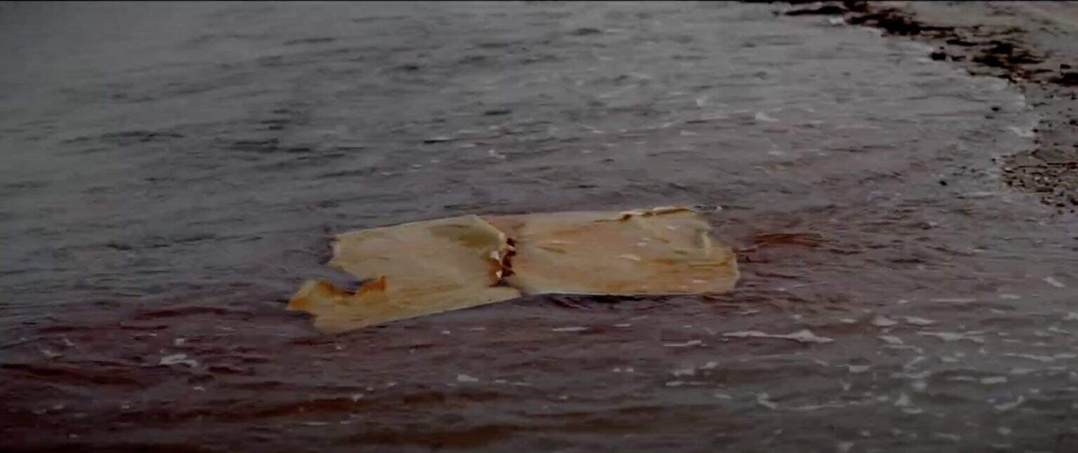 The Shark Attacks That Inspired 'Jaws' Were More Terrifying Than the ...