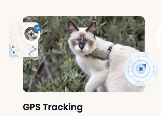 Pet Tracker