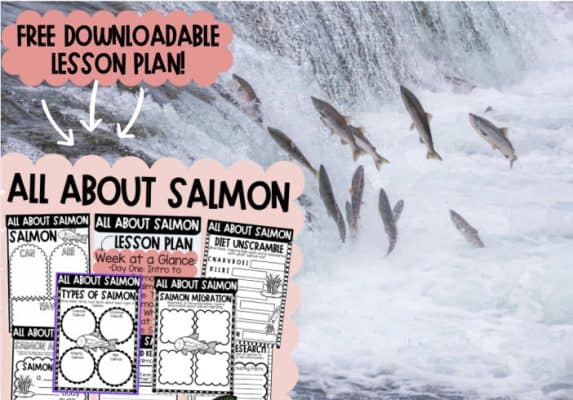 Explore a Salmon's Journey in This Free Downloadable Lesson Plan - A-Z ...