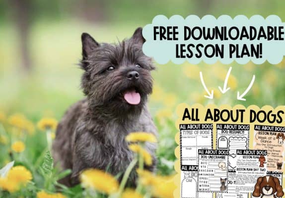 All About Dogs! A Free Downloadable Lesson Plan for Young Learners - A ...
