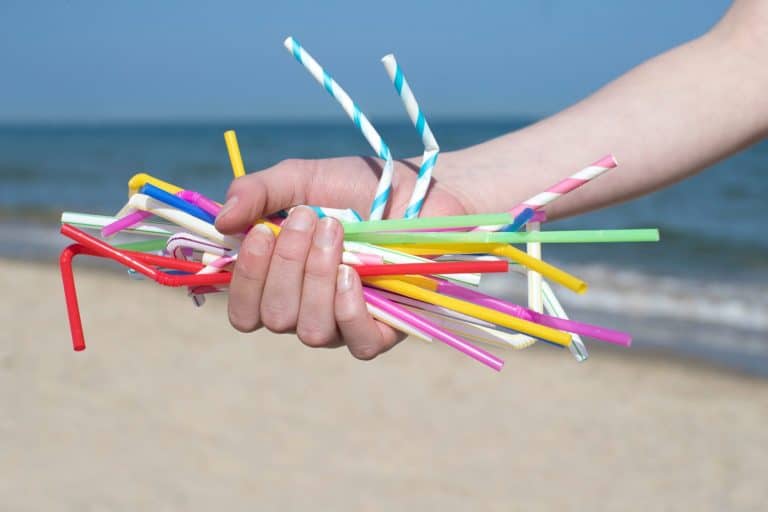 How One Sea Turtle Sparked a Movement Against Plastic Straws - A-Z Animals