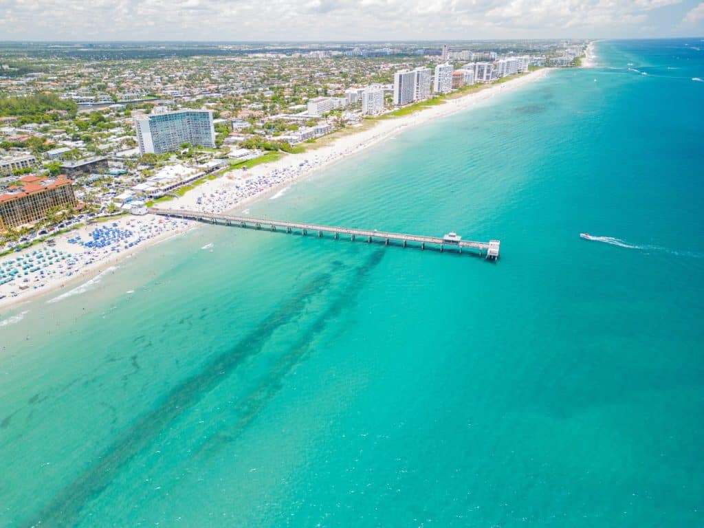 A 9-Year-Old Girl is the Latest Shark Attack Victim in Florida - A-Z ...