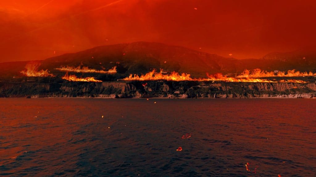 Forest Fires Benefit Ocean Life, But at a Cost - A-Z Animals