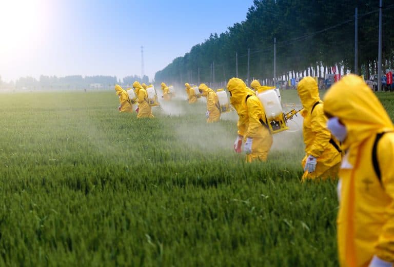 Why Are Pollinators Disappearing? 12 Major Threats Explained - A-Z Animals