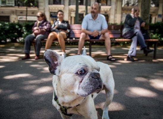 Mark Your Calendar for These Fall Animal Events - A-Z Animals