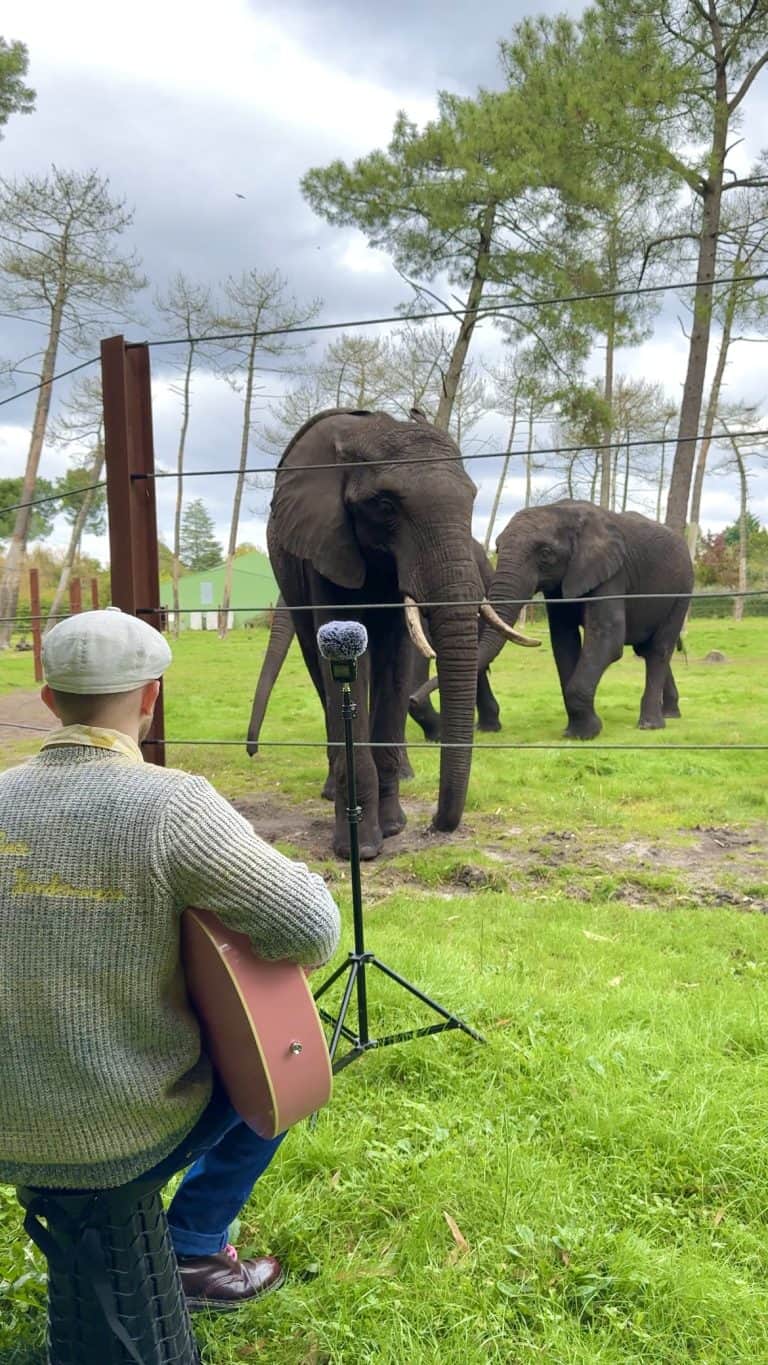 This Viral Musician Finds Connection Playing for Wildlife Around the ...