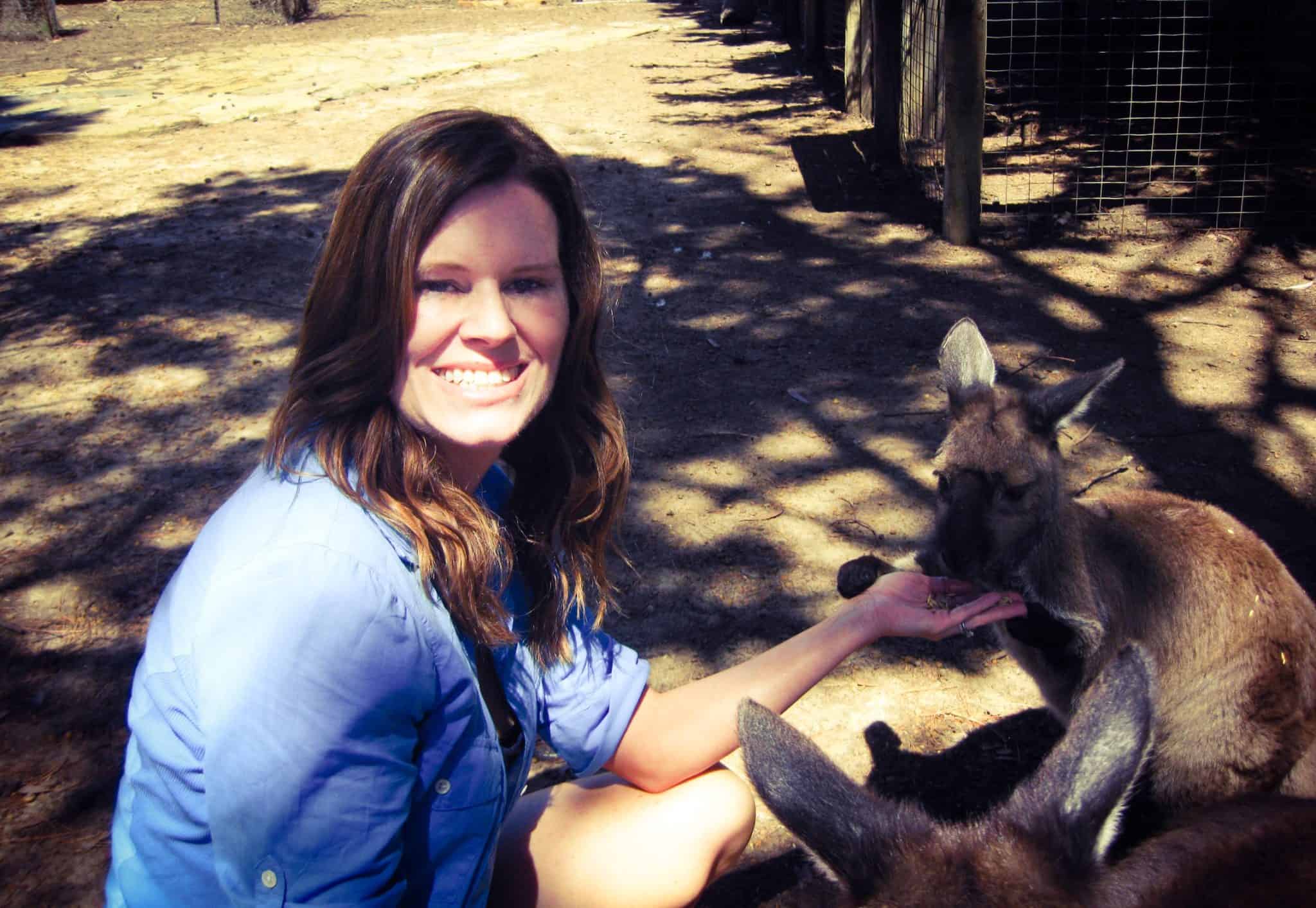 5 Common Reasons Why Your Dog Keeps Itching - A-Z Animals