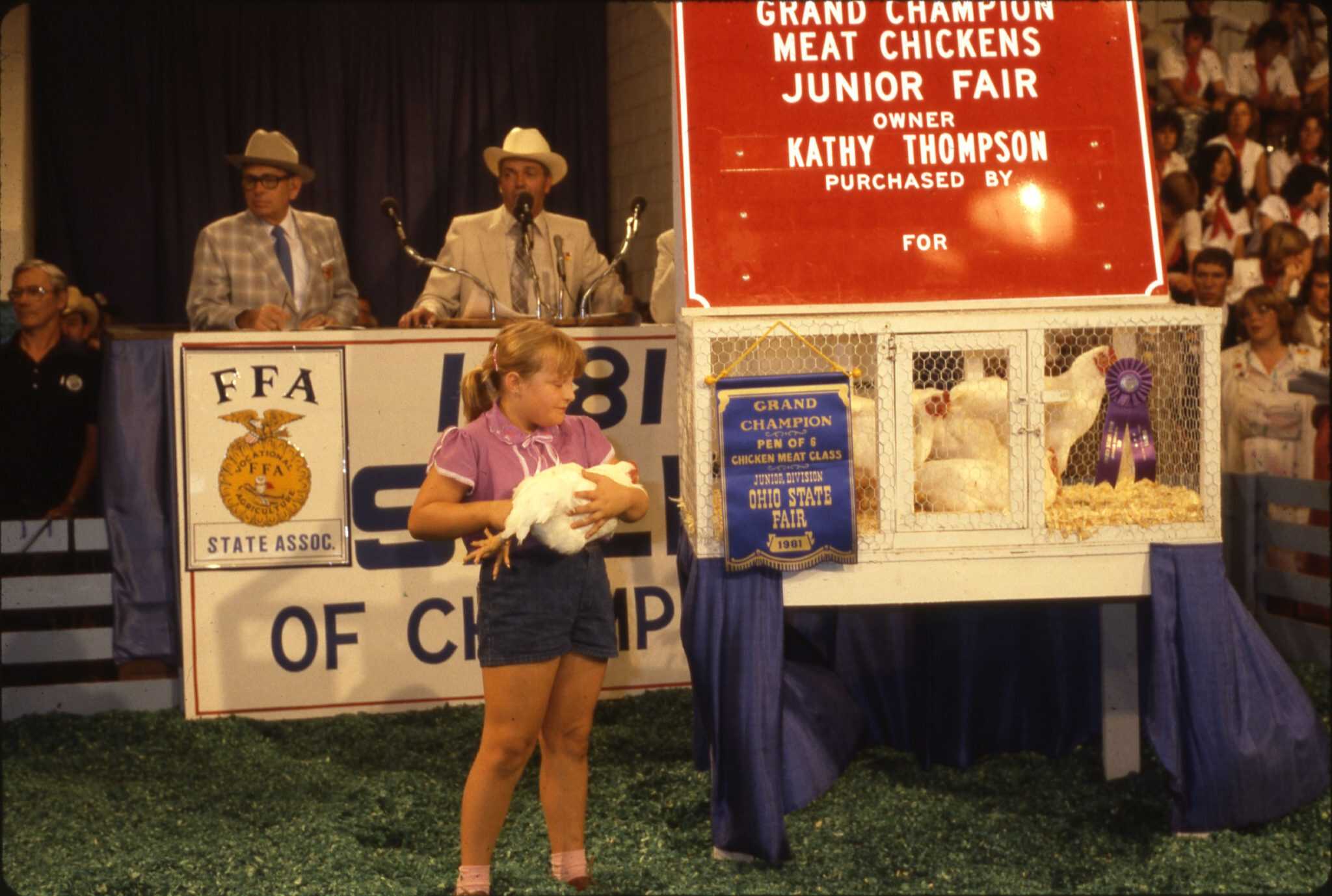 Orpington Chicken: Origin, Color Varieties, Price, and More! - A-Z Animals