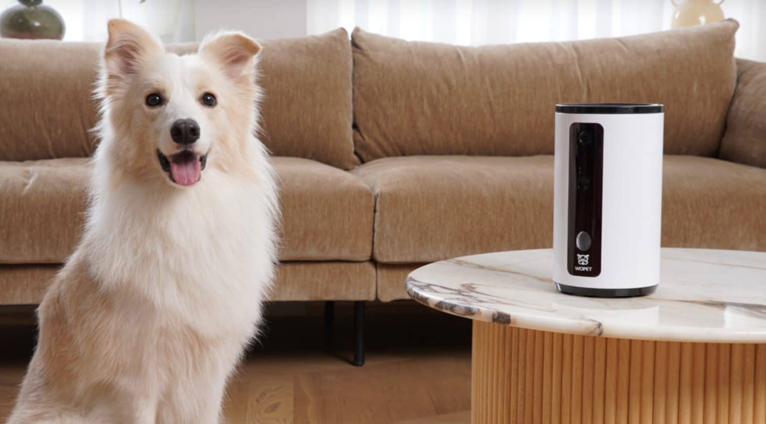 Top Smart Treat Dispensers That Entertain and Feed Your Pets