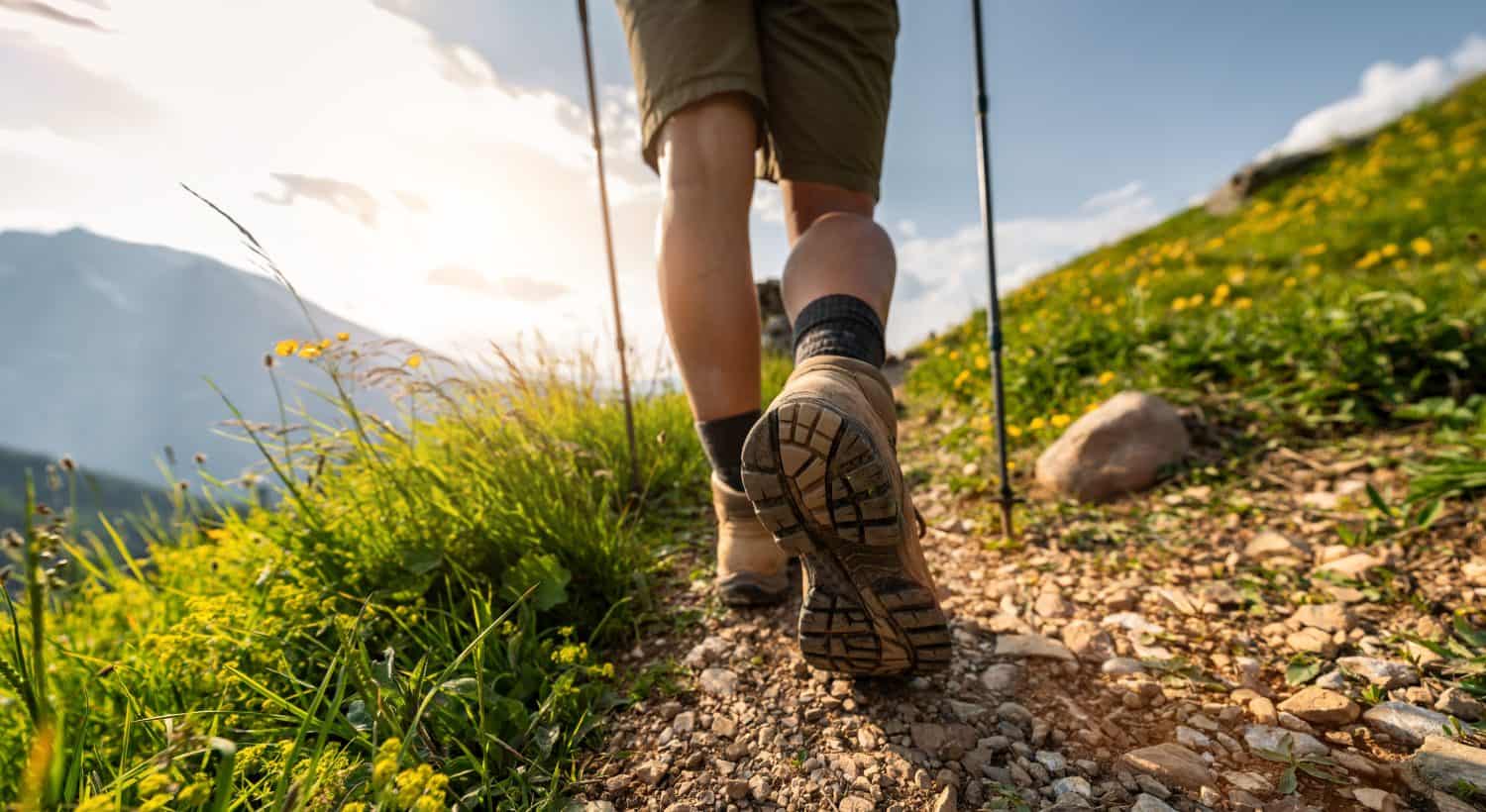 Rattlesnake Encounters That Went Wrong and What You Can Learn - A-Z Animals